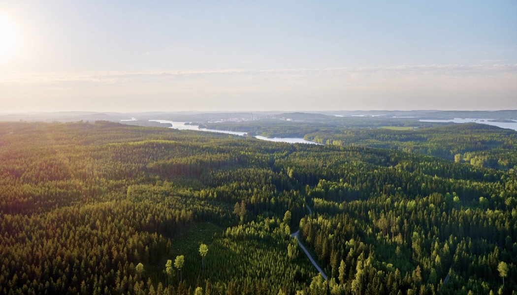 Metsä Board renews its status on CDP’s Triple A List - Premium Beauty News